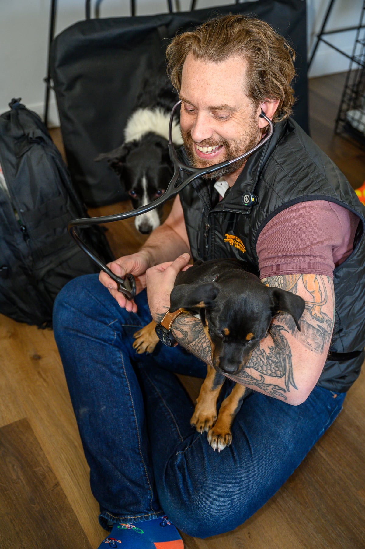 Onward Veterinary Services Inc. | Calgary Mobile Vet Services